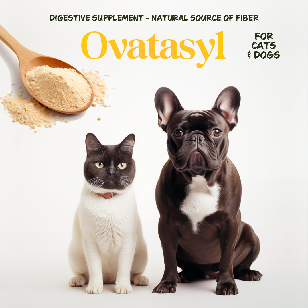 Ovatasyl 500 mg fiber for cats & dogs 100 capsules | MedsMeHappy
