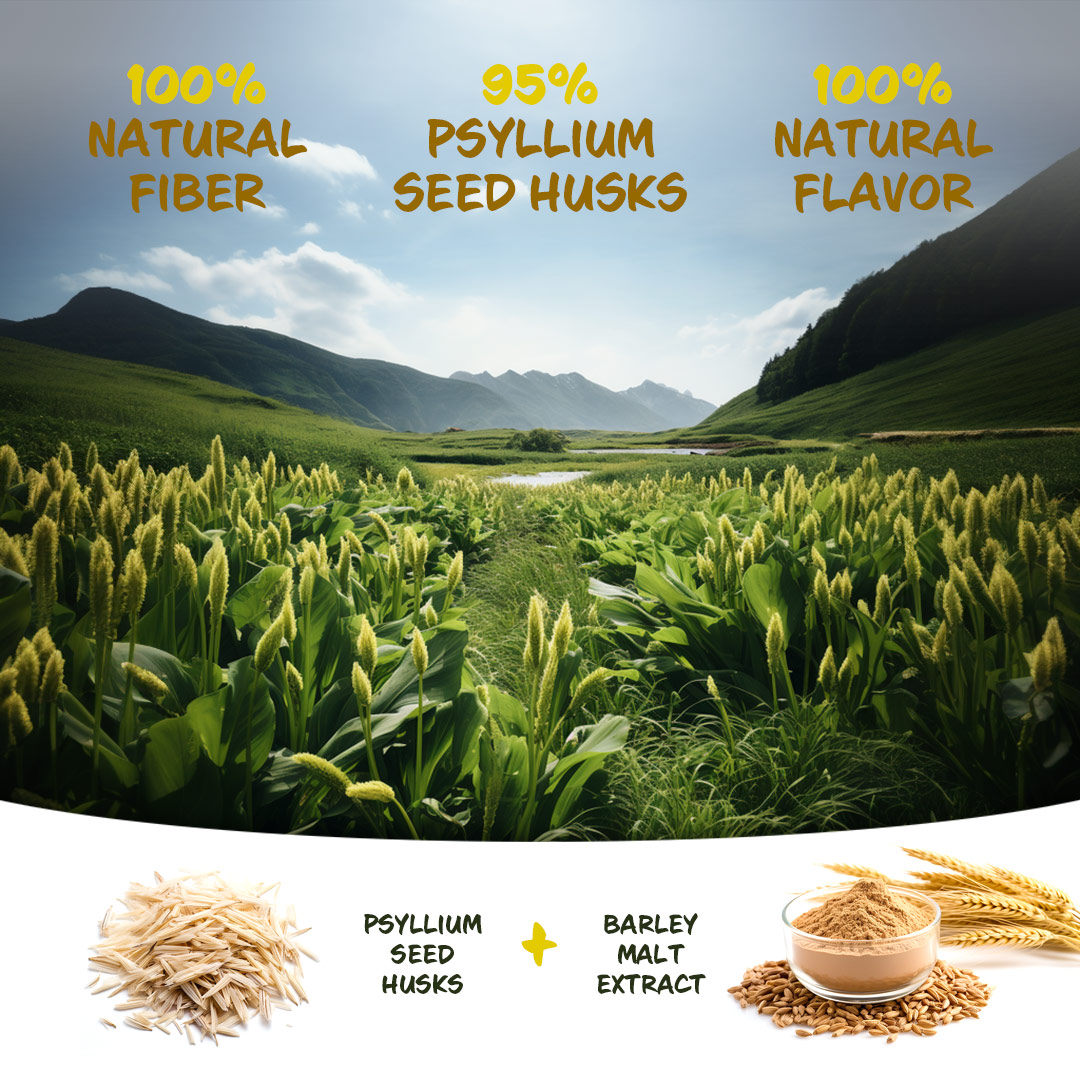 Ovatasyl 500 mg fiber for cats & dogs 100 capsules | MedsMeHappy