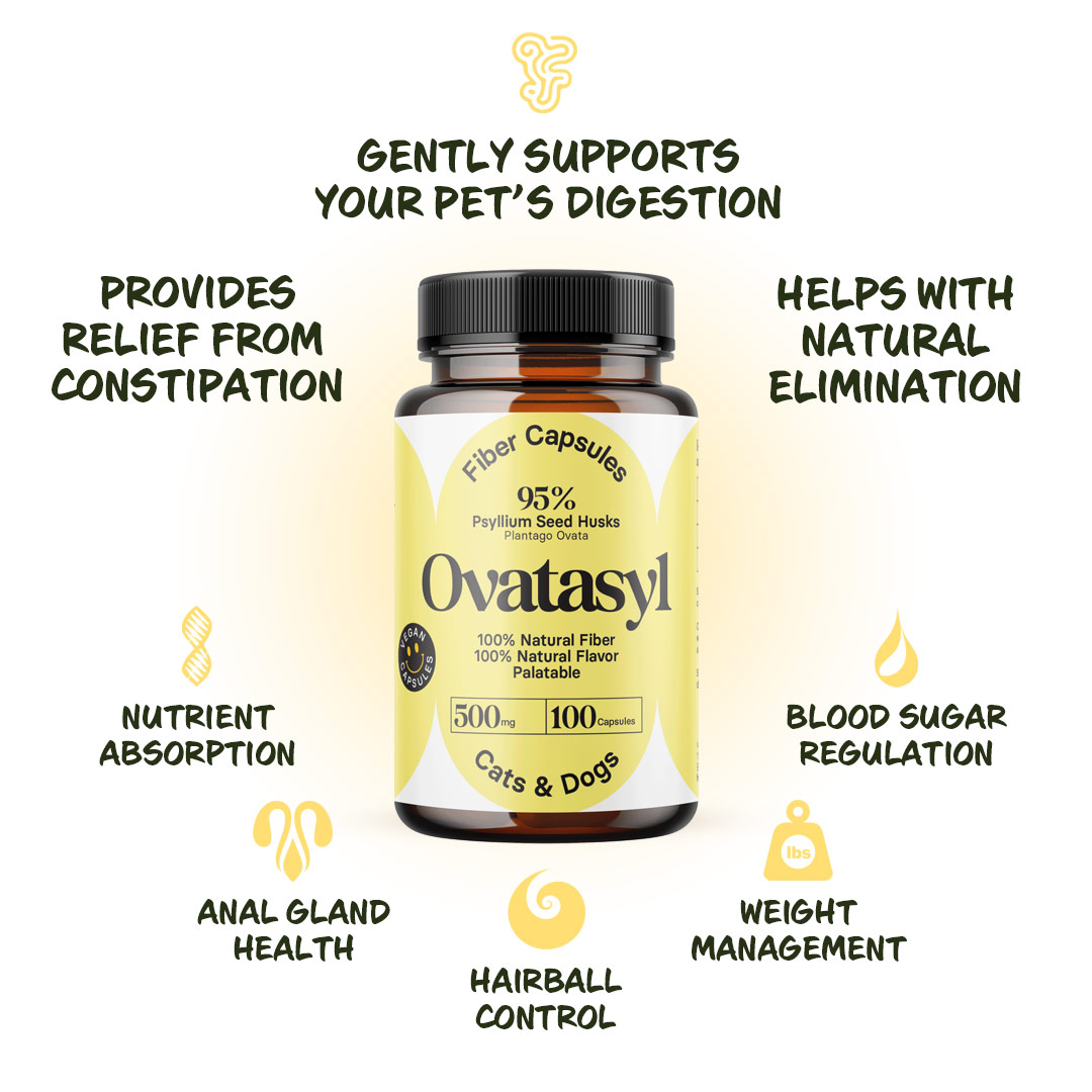 Ovatasyl 500 mg fiber for cats & dogs 100 capsules | MedsMeHappy