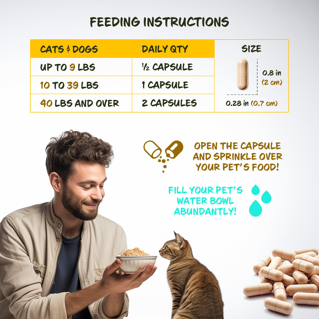 Ovatasyl 500 mg fiber for cats & dogs 100 capsules | MedsMeHappy