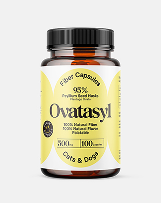 SilymarinAdvanced for Medium Dogs 13 to 34 lbs 30 tablets | MedsMeHappy