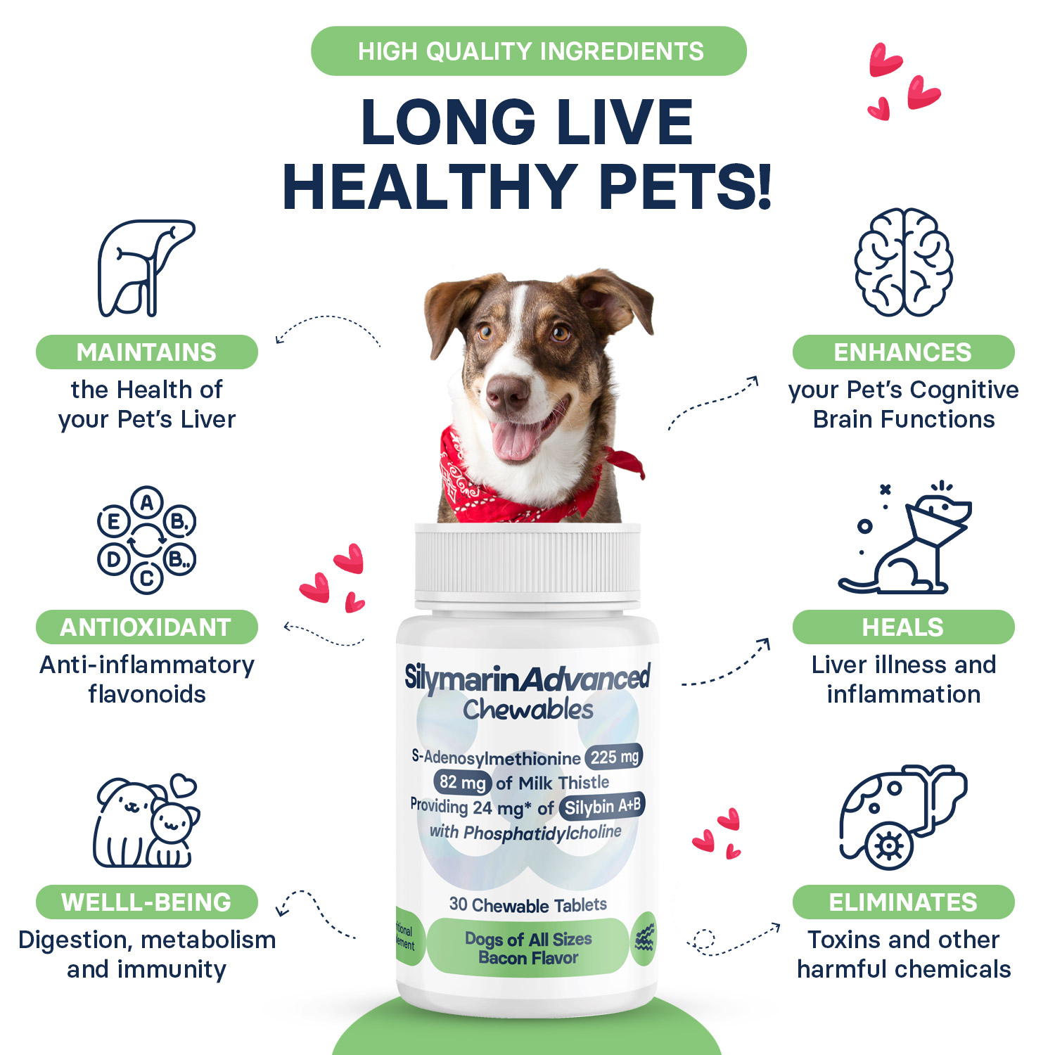 SilymarinAdvanced Chewables for Dogs of All Sizes 30 tablets | Meds Me ...