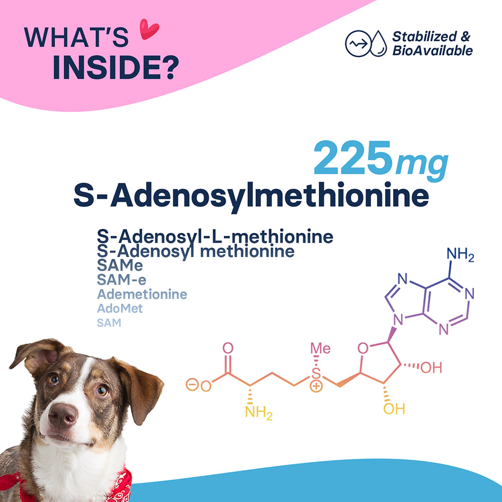 SAMe 225 mg for medium & large dogs 60 tablets | MedsMeHappy