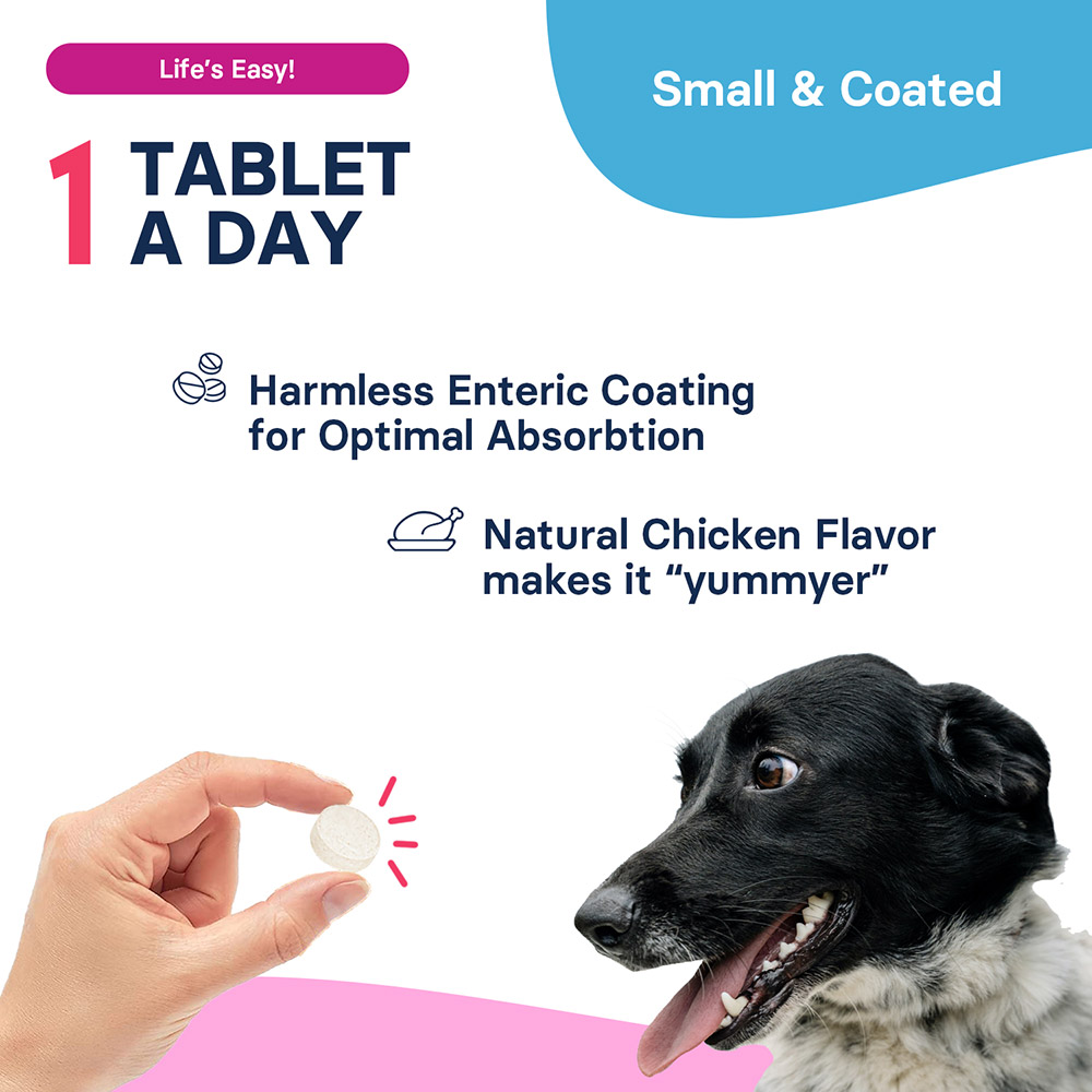 SAMe 225 mg for medium & large dogs 60 tablets | MedsMeHappy