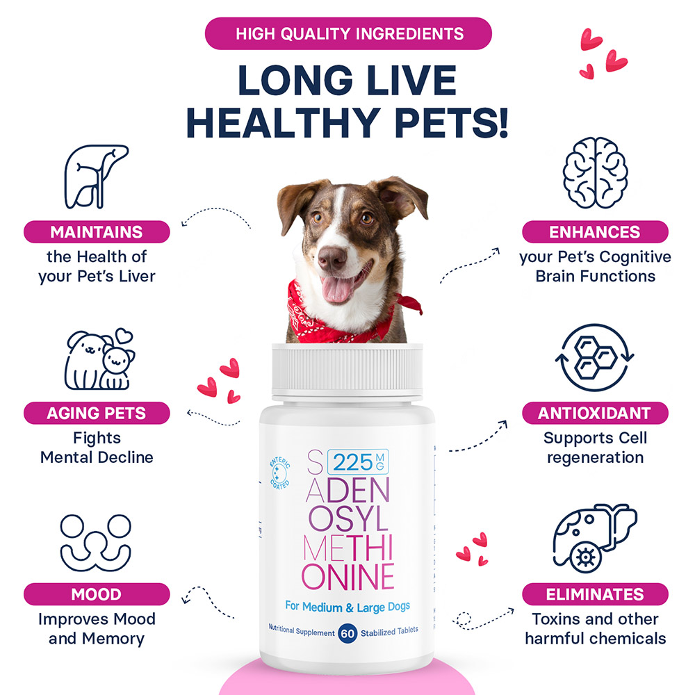SAMe 225 mg for medium & large dogs 60 tablets | MedsMeHappy