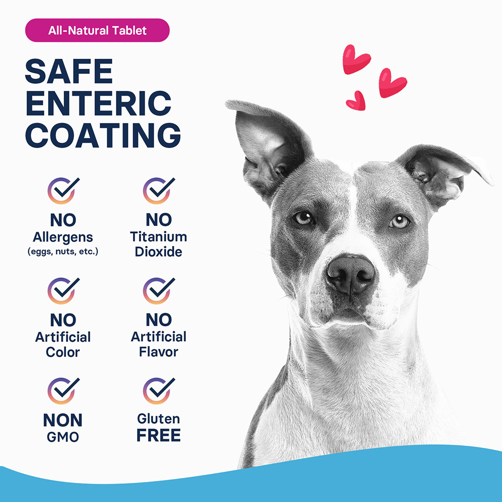 SAMe 225 mg for medium & large dogs 60 tablets | MedsMeHappy