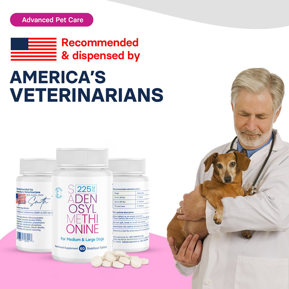 SAMe 225 mg for medium & large dogs 60 tablets | MedsMeHappy