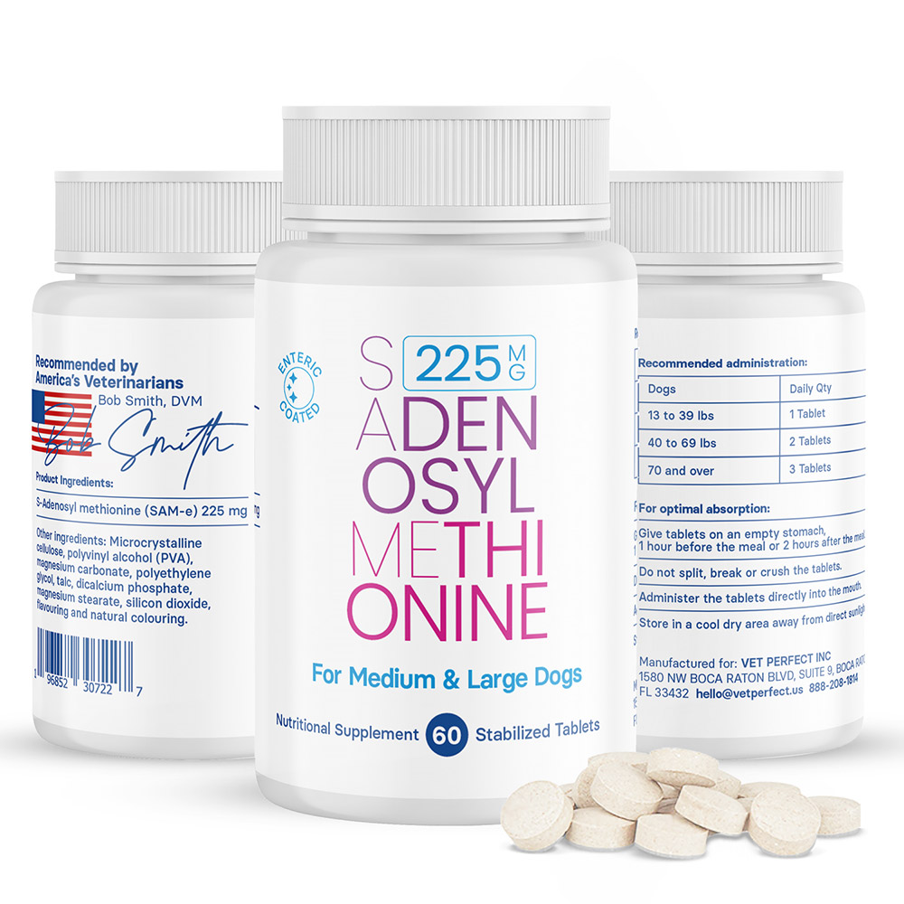SAMe 225 mg for medium & large dogs 60 tablets | MedsMeHappy