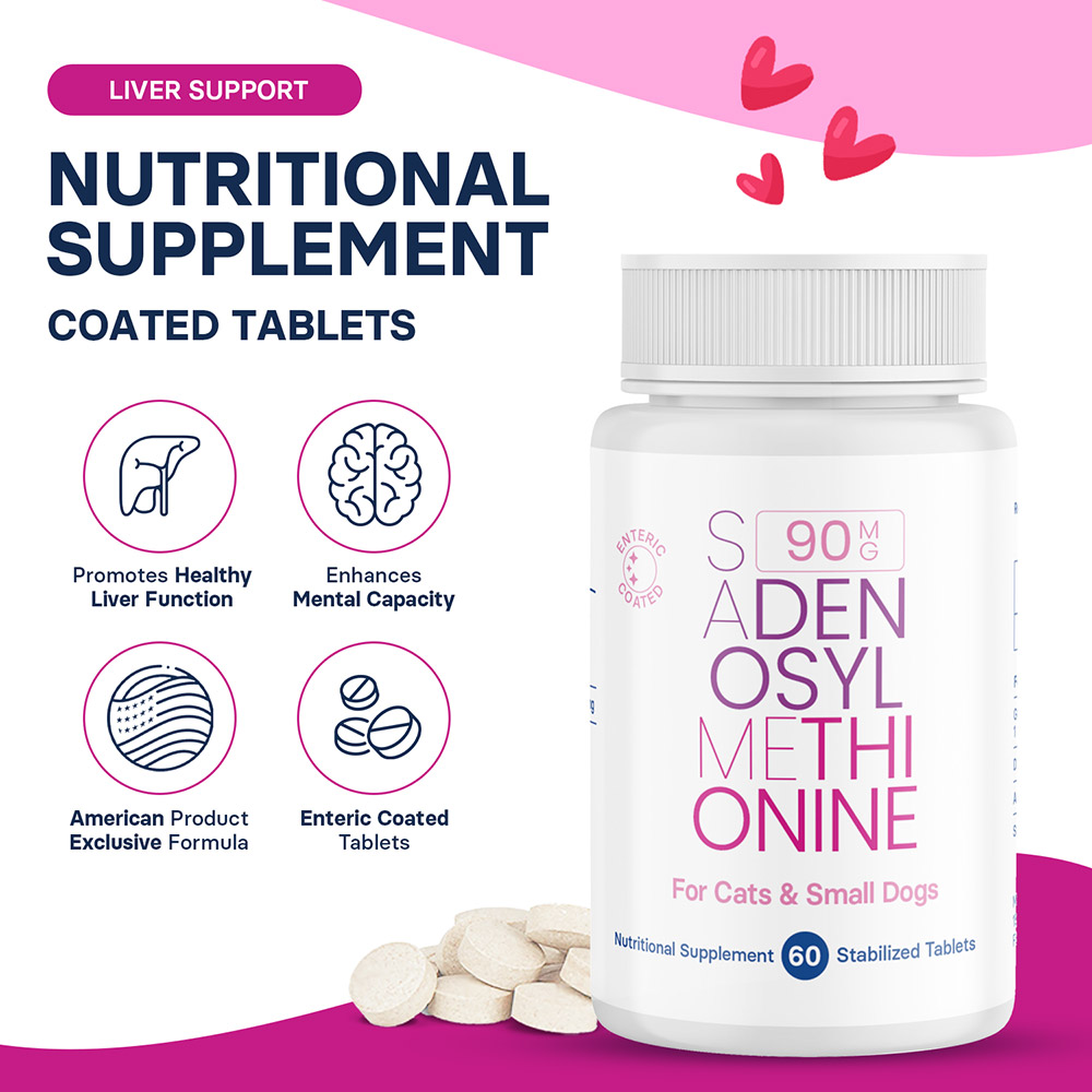 SAMe 90 mg for cats & small dogs 60 tablets | MedsMeHappy
