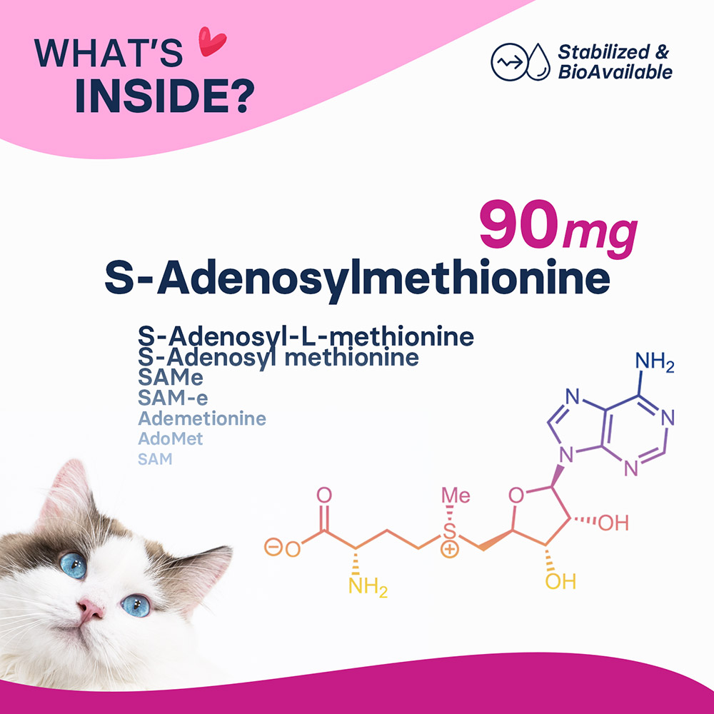 SAMe 90 mg for cats & small dogs 60 tablets | MedsMeHappy