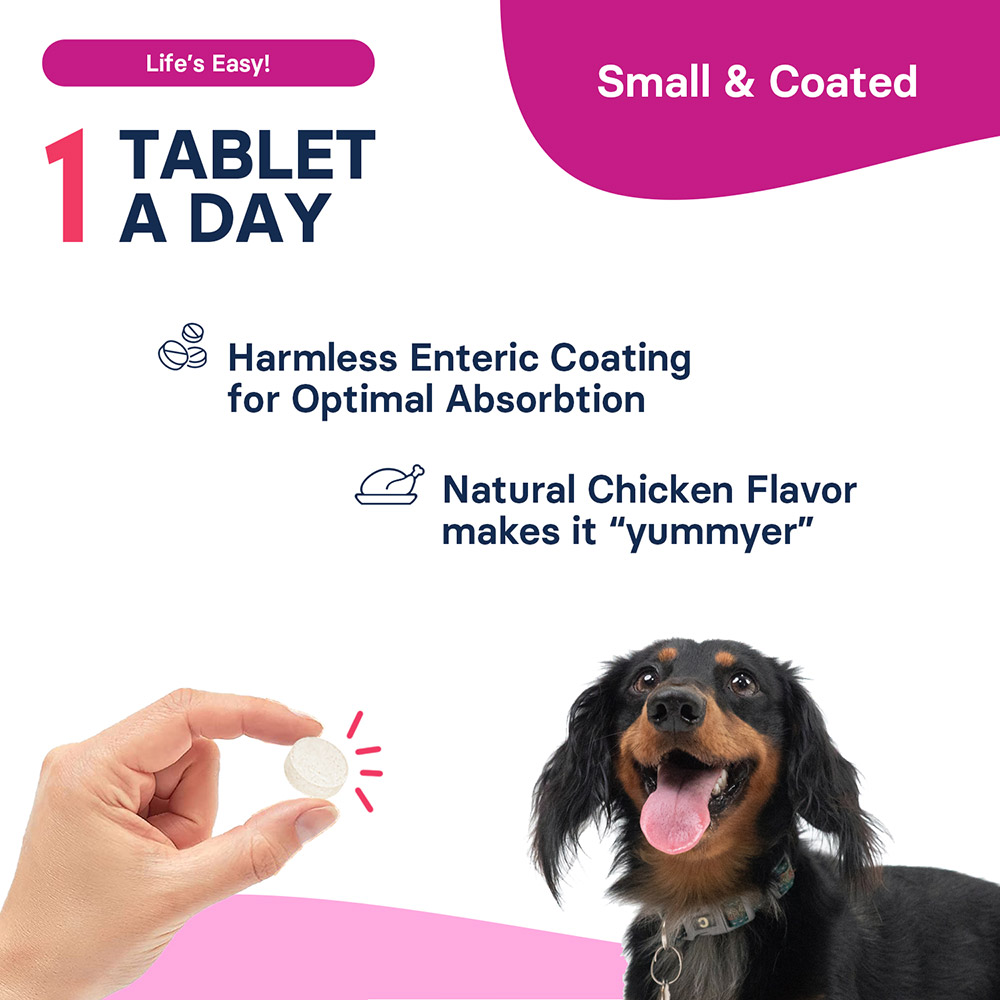 SAMe 90 mg for cats & small dogs 60 tablets | MedsMeHappy