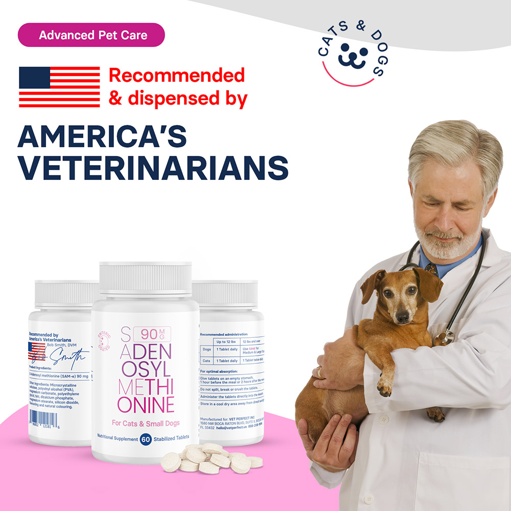 SAMe 90 mg for cats & small dogs 60 tablets | MedsMeHappy
