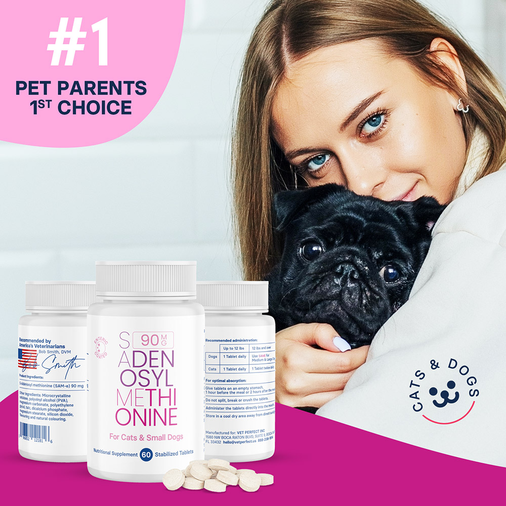 SAMe 90 mg for cats & small dogs 60 tablets | MedsMeHappy